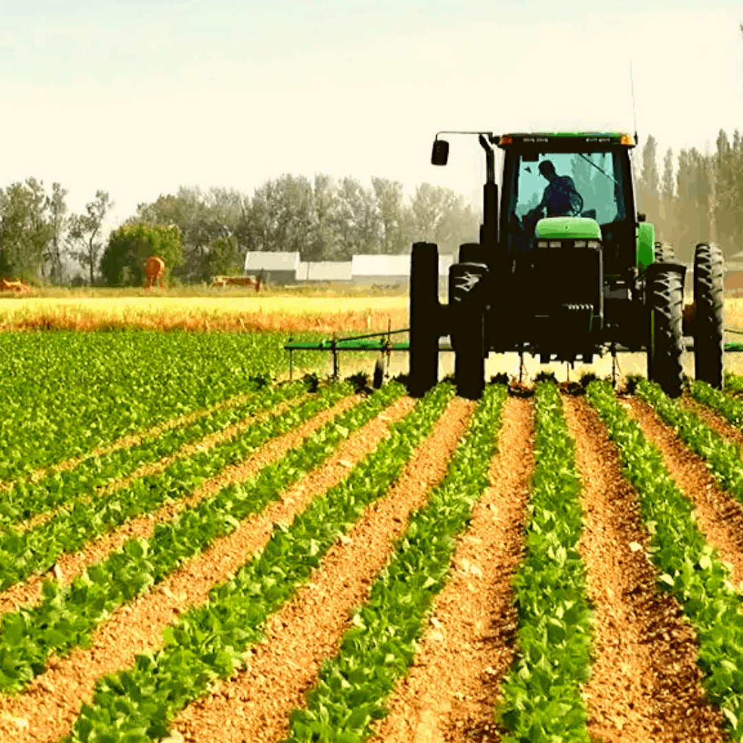 Agric Talk Show Will Showcase Nigeria As The Next Big Goldmine – Afoma ...